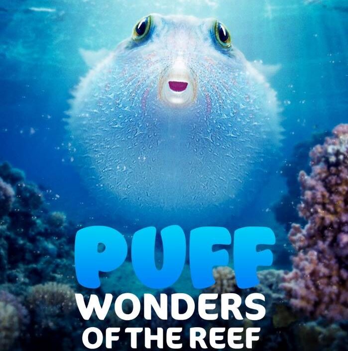 Puff: Θαύματα Του Κοραλλιογενούς Υφάλου - Netfilms Guiders